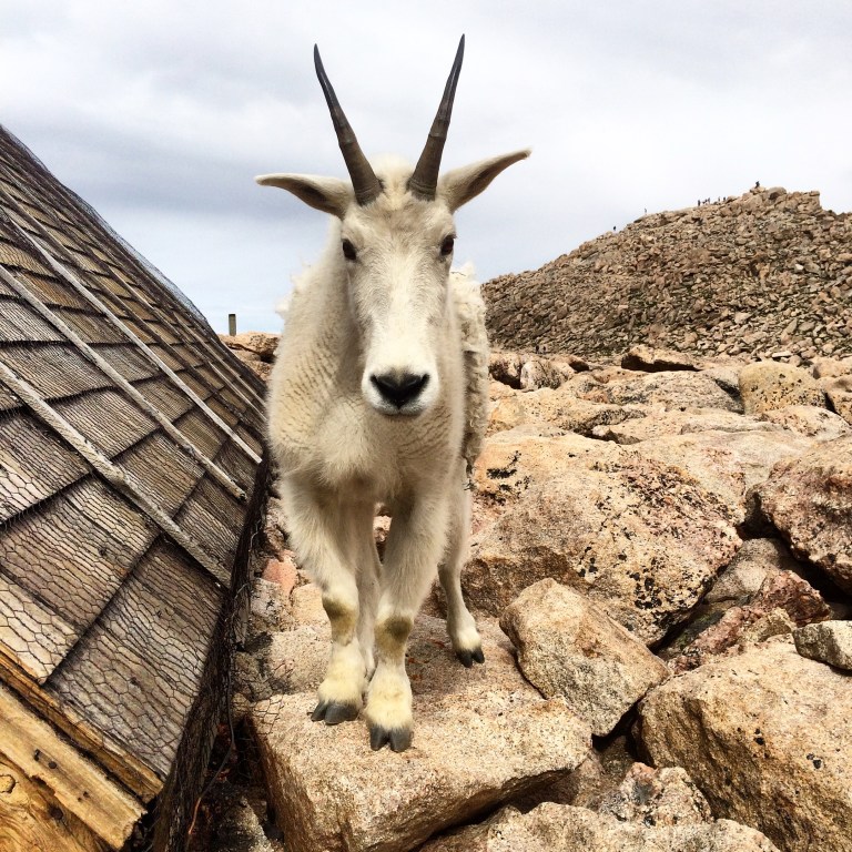 Contact – Velotta Lab